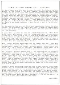 Peruvian Hipsters – A Fanzine called White Lemonade